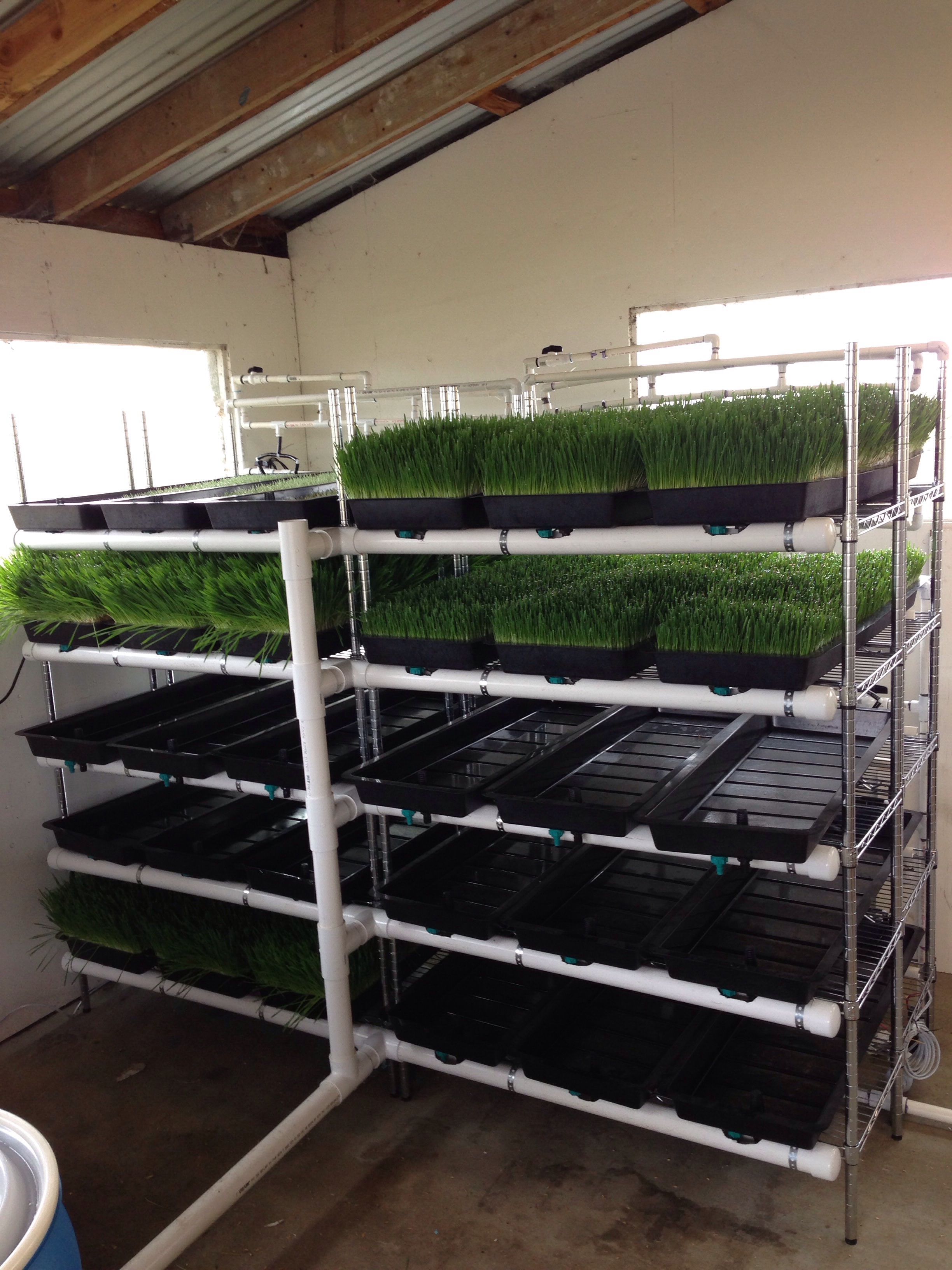 Barley Fodder System | Symbi Biological