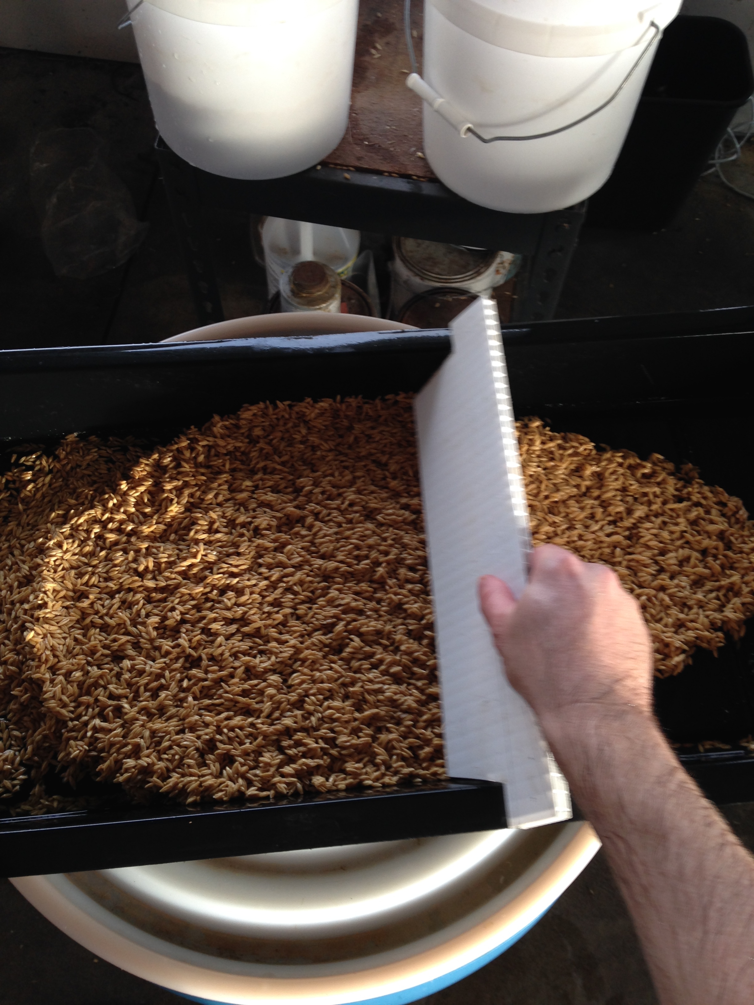 Barley Fodder System | Symbi Biological