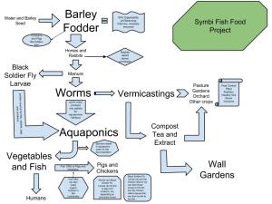 Flow Chart for the Fish Food Project | Symbi Biological