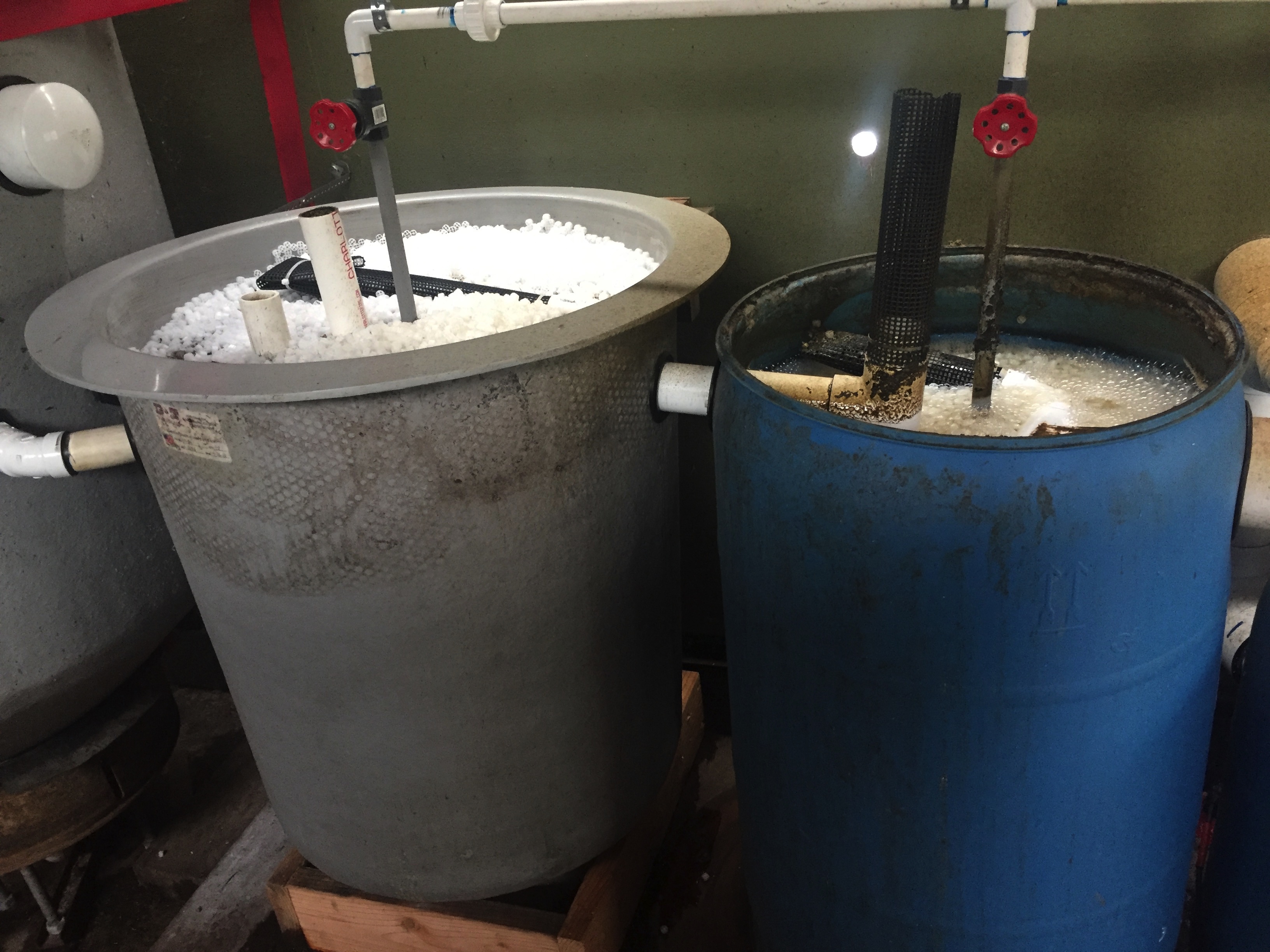 Aquaponics Filtration:Mineralization and Biofilter Tanks | Symbi Biological