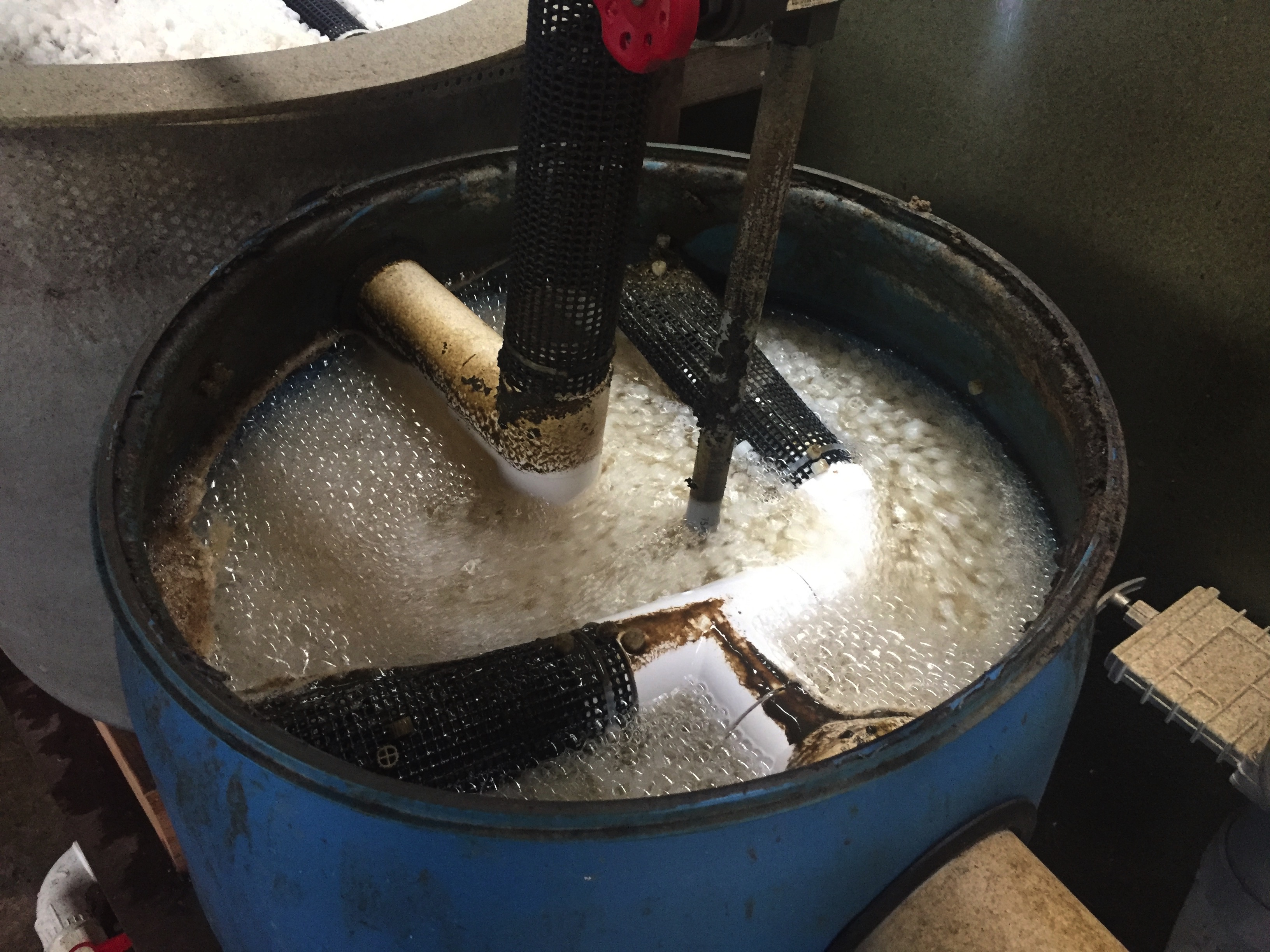 Aquaponics Filtration:Mineralization and Biofilter Tanks | Symbi Biological